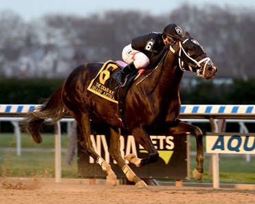 Sharp Azteca - Horse Profile - BloodHorse