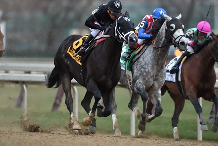 Sharp Azteca - Horse Profile - BloodHorse