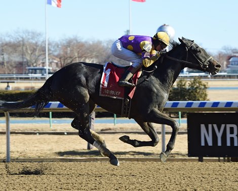 Midnight Disguise to Defend Home Turf in Busher - BloodHorse