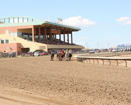 Arizona Downs to Launch Simulcasts July 13 - BloodHorse