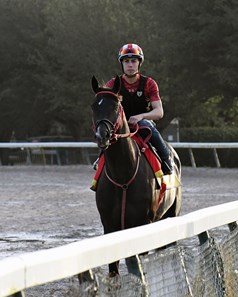 Sharp Azteca - Horse Profile - BloodHorse