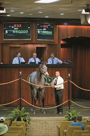 Candy Ride Colt Breaks Record in OBS Finale - BloodHorse