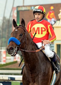 McKinzie - Horse Profile - BloodHorse