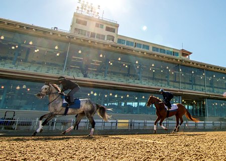 Gettysburg Earns Keep as Gun Runner's Perfect Partner - BloodHorse