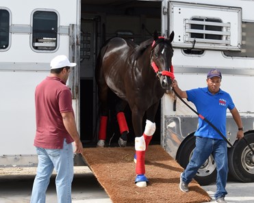 Sharp Azteca - Horse Profile - BloodHorse