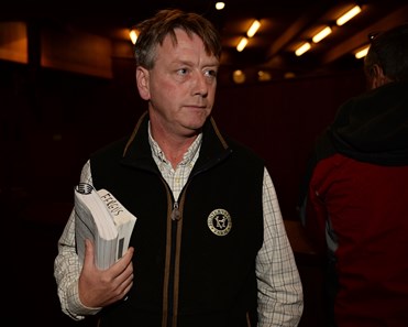 Mr Classical - Horse Profile - BloodHorse