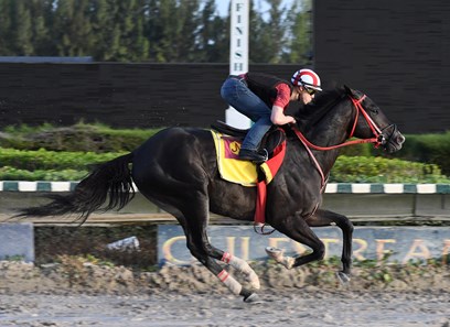 Sharp Azteca - Horse Profile - BloodHorse