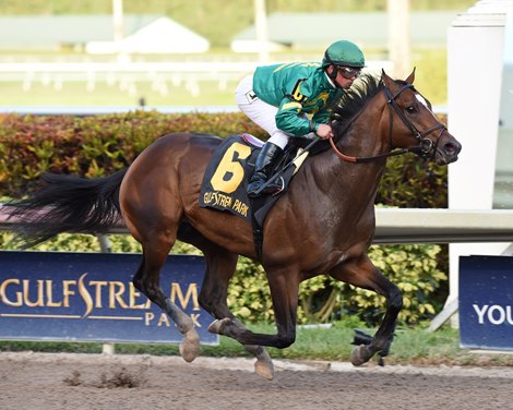 Mask Makes it Look Easy in Mucho Macho Man - BloodHorse