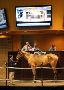 Quality Road - Horse Profile - BloodHorse