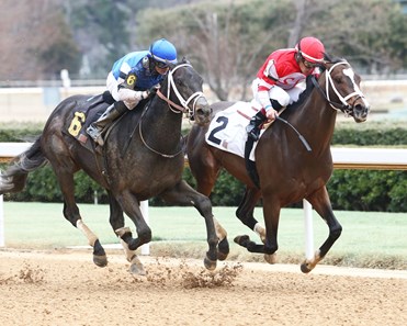 Bold Prophet - Horse Profile - BloodHorse