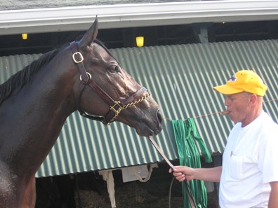 Papa Clem - Horse Profile - BloodHorse