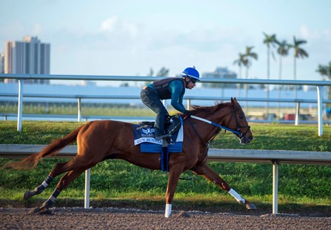 Gun Runner Smooth in Final Breeze Before Pegasus - BloodHorse