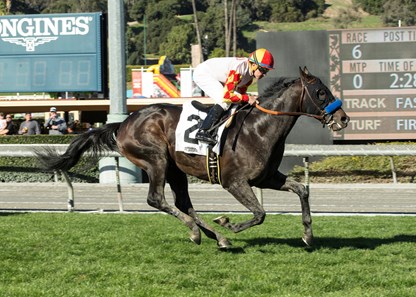 Heck Yeah - Horse Profile - BloodHorse