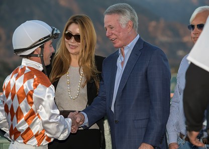 Plein Air (IRE) - Horse Profile - BloodHorse