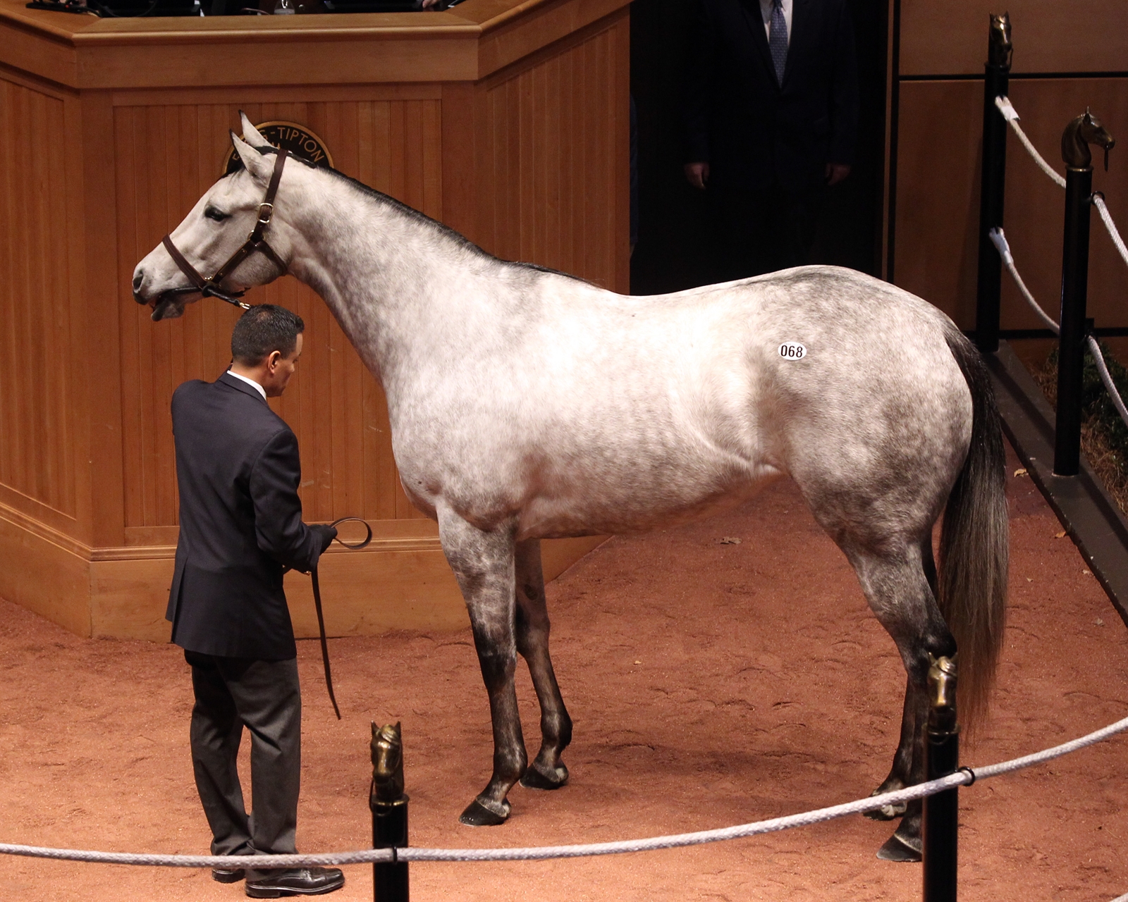 Owner, Civic Leader Wheelock Whitney Jr. Dies - BloodHorse