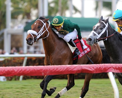 Speed Franco Gets Head Over Gidu in Dania Beach - BloodHorse