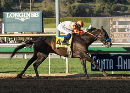 Heck Yeah - Horse Profile - BloodHorse