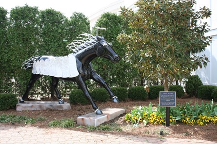 Eight Belles - Horse Profile - BloodHorse