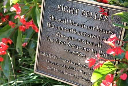Eight Belles - Horse Profile - BloodHorse