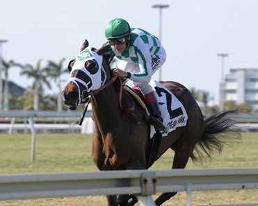 Summersault - Horse Profile - BloodHorse