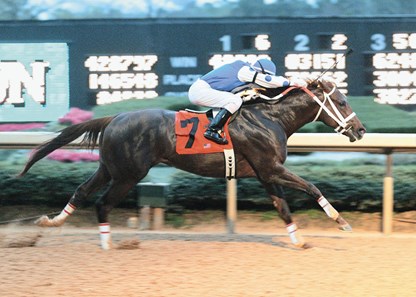 Smarty Jones - Horse Profile - BloodHorse