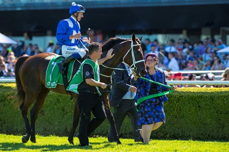 Winx Drubs Rivals in Historic Chipping Norton Score - BloodHorse