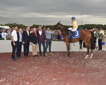 Fourstar Crook - Horse Profile - BloodHorse