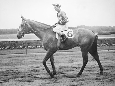 Native Dancer - Horse Profile - BloodHorse