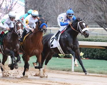 Sporting Chance - Horse Profile - BloodHorse