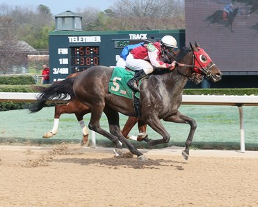 Husky Clipper - Horse Profile - BloodHorse