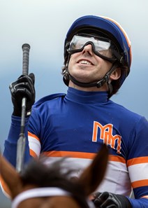 Tough Sunday - Horse Profile - BloodHorse