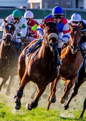 Fair Grounds Announces Stakes Schedule - BloodHorse