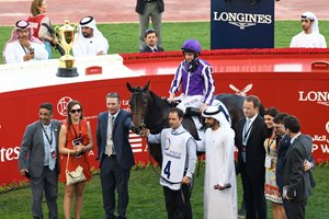 BloodHorse: Thoroughbred Horse Racing, Breeding, and Sales News, Data ...