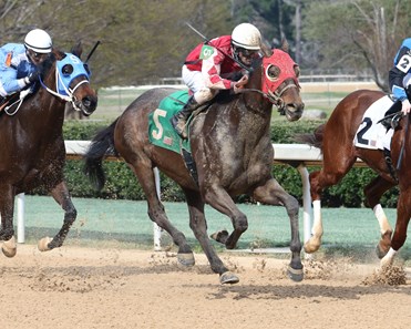 Husky Clipper - Horse Profile - BloodHorse