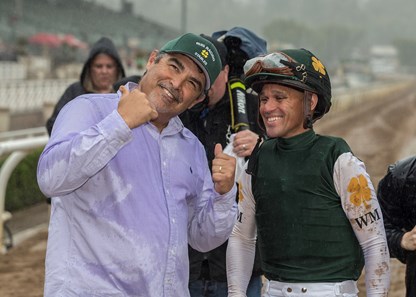 Bolt d'Oro - Horse Profile - BloodHorse