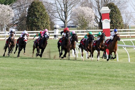 Heart to Heart - Horse Profile - BloodHorse