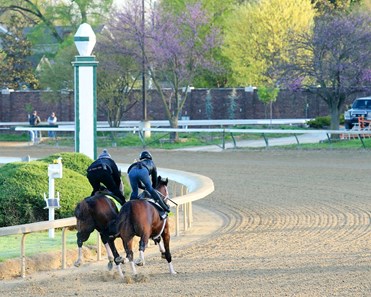 Magnum Moon - Horse Profile - BloodHorse