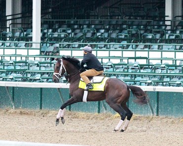 Magnum Moon - Horse Profile - BloodHorse