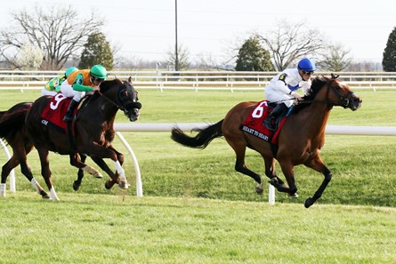 Heart to Heart - Horse Profile - BloodHorse