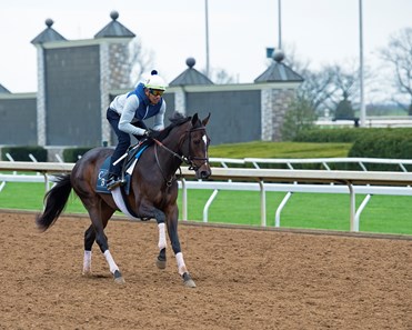 Rushing Fall - Horse Profile - BloodHorse