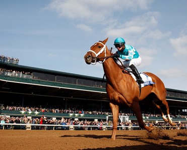 Monomoy Girl - Horse Profile - BloodHorse