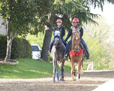 Unique Bella - Horse Profile - BloodHorse