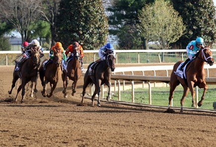 Monomoy Girl - Horse Profile - BloodHorse