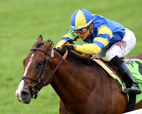 Unbeaten Analyze It Looms Large in Pennine Ridge - BloodHorse