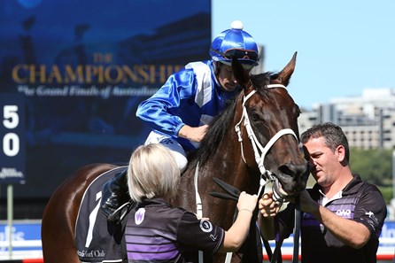 Winx - Horse Profile - BloodHorse