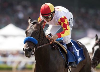 Heck Yeah - Horse Profile - BloodHorse