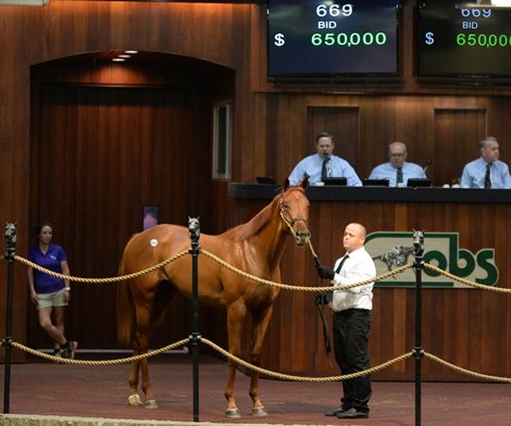 Owner Jeff Drown Gets Candy Ride Filly for $650K at OBS - BloodHorse