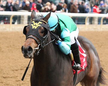 Chelsea Cloisters - Horse Profile - BloodHorse