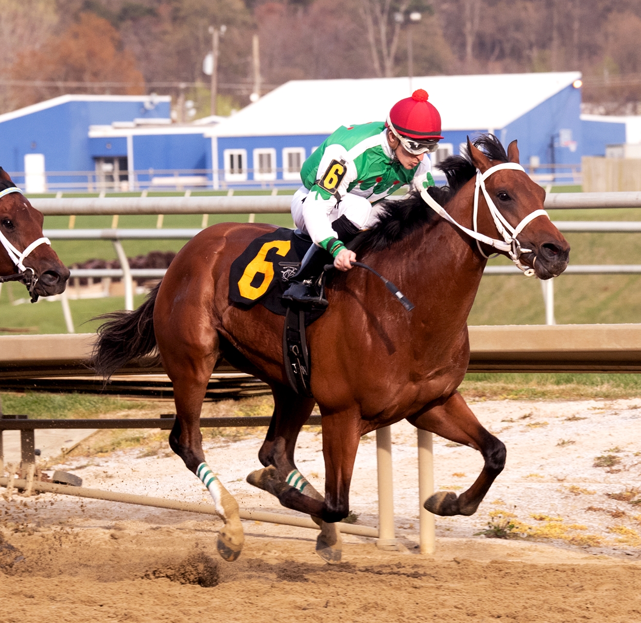Magnum Moon Stays Perfect With Arkansas Derby Win - BloodHorse