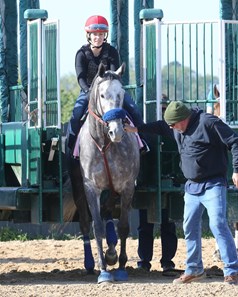 Unique Bella - Horse Profile - BloodHorse